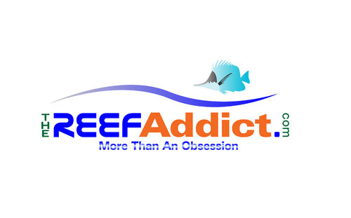 Reef Addict LLC By TheReefAddict