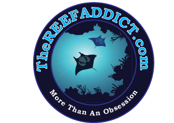 Reef Addict LLC By TheReefAddict