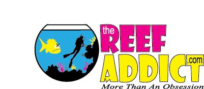 Reef Addict LLC by TheReefAddict