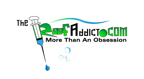 Reef Addict LLC By TheReefAddict