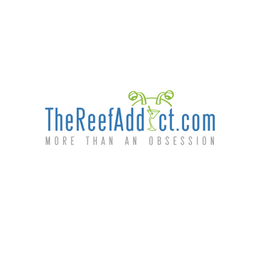 Reef Addict LLC By TheReefAddict