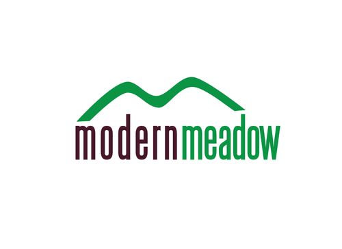 Business logo for innovative new biotech/foodtech company Modern Mead