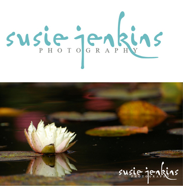 Susie Jenkins Photography By SJPhoto57