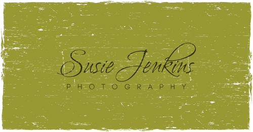 Susie Jenkins Photography By SJPhoto57