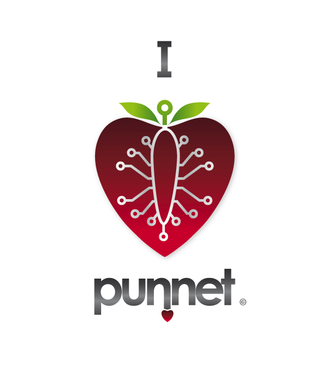 Punnet corporate identity By Jamesyale