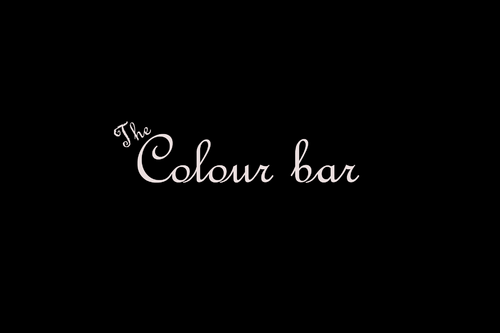 Business Logo / The Colour Bar by Jimarchibald330