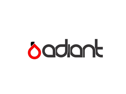 Business Logo for Adiant By Adiant