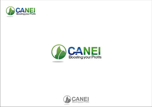 Logo & Stationery - CANEI by Caneicorp