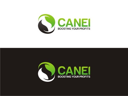 Logo & Stationery - CANEI by Caneicorp