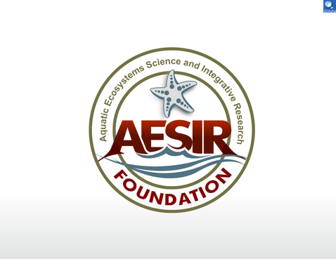 AESIR Foundation: integrated logo by Smilroy69