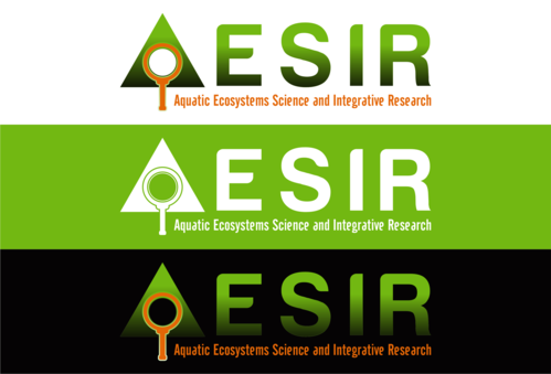 AESIR Foundation: integrated logo by Smilroy69