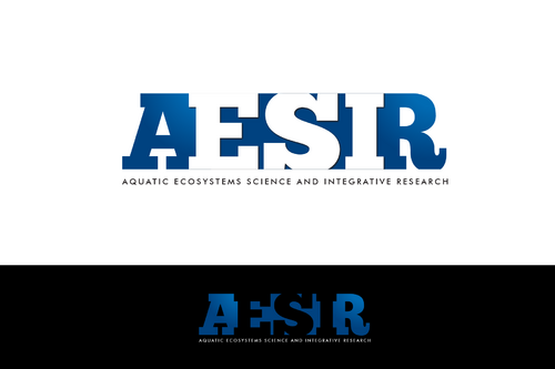 AESIR Foundation: integrated logo by Smilroy69