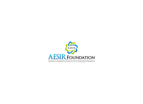 AESIR Foundation: integrated logo by Smilroy69