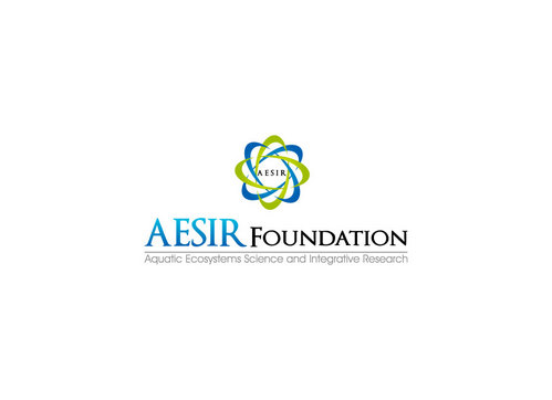 AESIR Foundation: integrated logo by Smilroy69