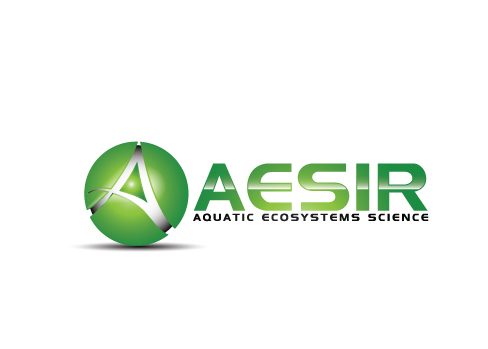 AESIR Foundation: integrated logo by Smilroy69