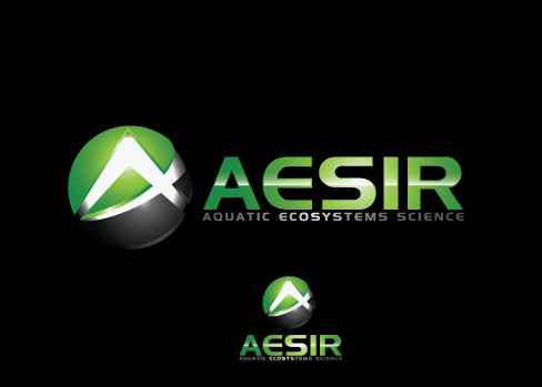 AESIR Foundation: integrated logo by Smilroy69