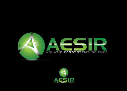 AESIR Foundation: integrated logo by Smilroy69