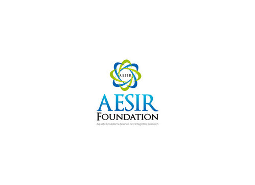 AESIR Foundation: integrated logo by Smilroy69
