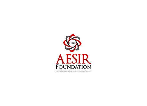 AESIR Foundation: integrated logo by Smilroy69