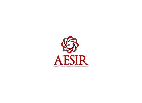 AESIR Foundation: integrated logo by Smilroy69