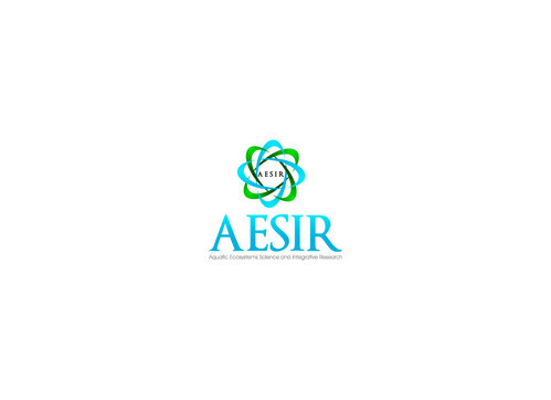 AESIR Foundation: integrated logo by Smilroy69