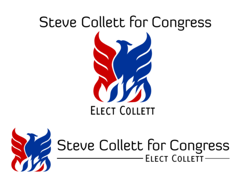 Congressional Campaign Logo By Electcollett