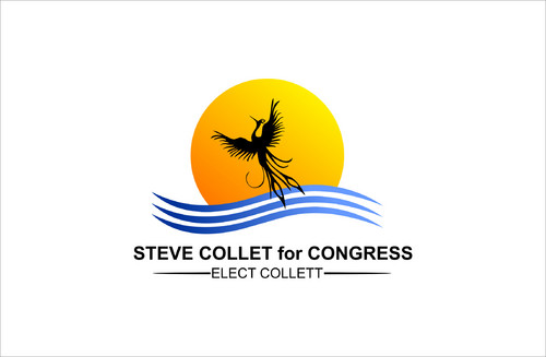 Congressional Campaign Logo By Electcollett