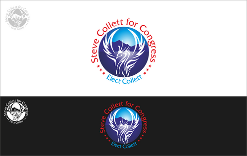 Congressional Campaign Logo By Electcollett