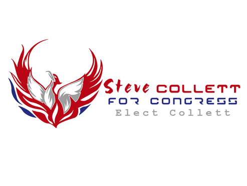Congressional Campaign Logo By Electcollett