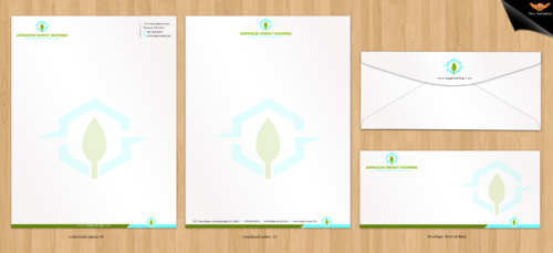 Expedited Project Word Template, envelopes and powerpoint template By