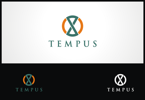 Logo for Tempus Strategies Limited by Olusoga
