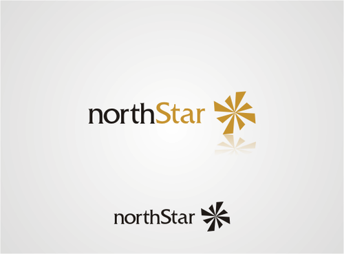 NorthStar Risk Management Business Logo (Insurance) by Toddmp