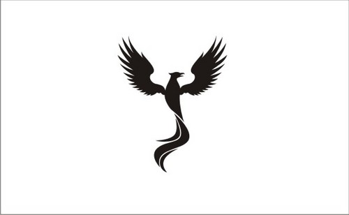 Make this Phoenix logo into a small logo/icon By XicoSolutions