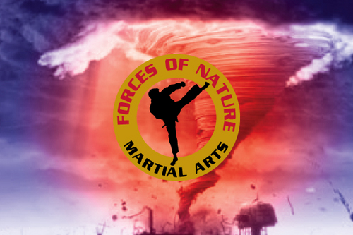Forces Of Nature Martial Arts Logo By Tammaj