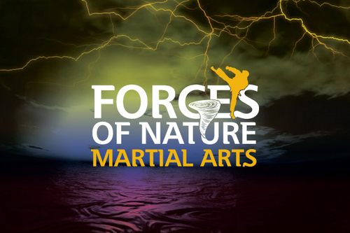 Forces Of Nature Martial Arts Logo By Tammaj