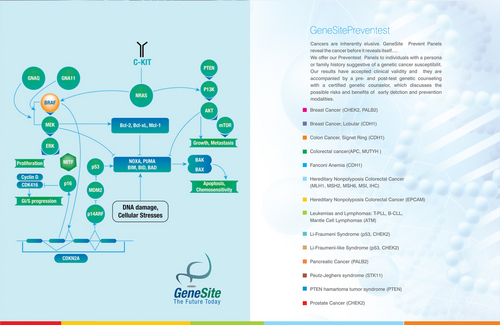 Genesite Brochure By Pjumansky