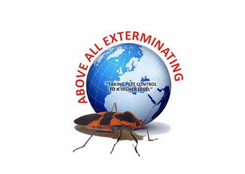 logo for a pest control company/ ABOVE ALL EXTERMINATING By Wongus05