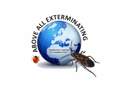 logo for a pest control company/ ABOVE ALL EXTERMINATING By Wongus05