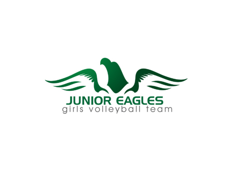Logo for a girls volleyball club/team By Dajones9