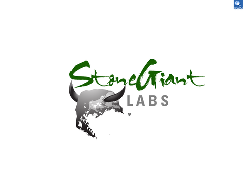 Logo for Design and Development Firm by StoneGIANTlabs