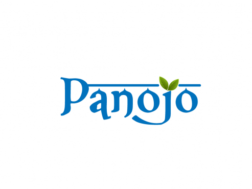 Panojo - Need Awesome Logo - Be Creative! by Roktir