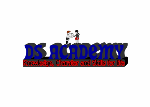 DS Academy by D9nys