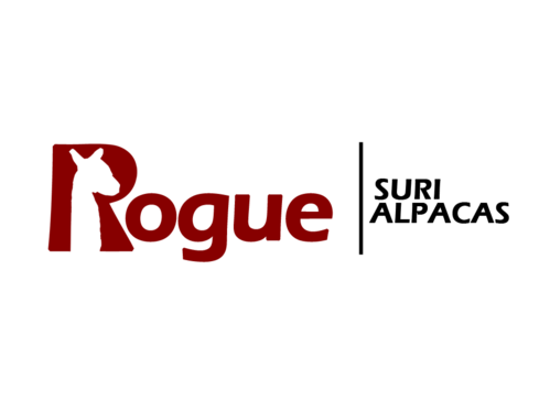 Rogue Suri Alpacas (Business logo) By Beverlybrehm