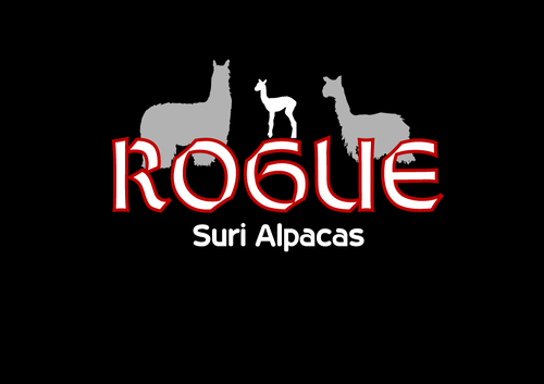 Rogue Suri Alpacas (Business logo) by Beverlybrehm