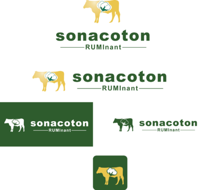 LOGO FOR ANIMAL FEED ( RUMINANT ) by Btissamfarsaoui