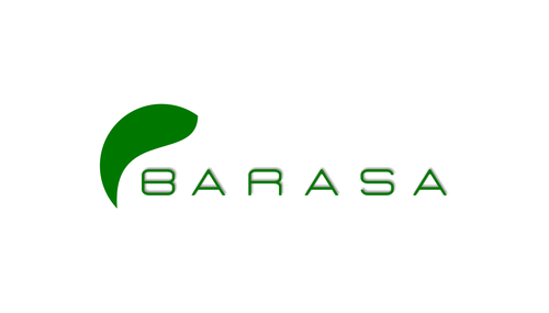 Barasa Technology Biz logo by Hcorrea73