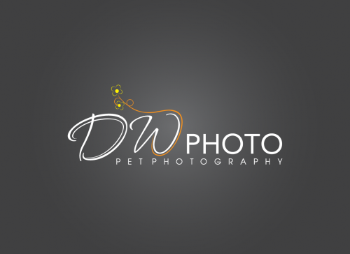 David Wilson Photography By Dwphotos