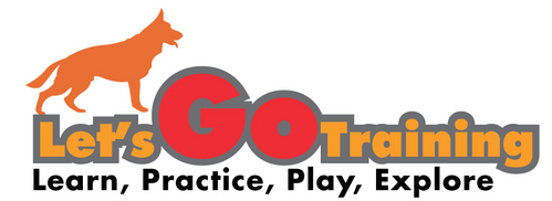 Business Logo. Let's Go Training By Reidleslie