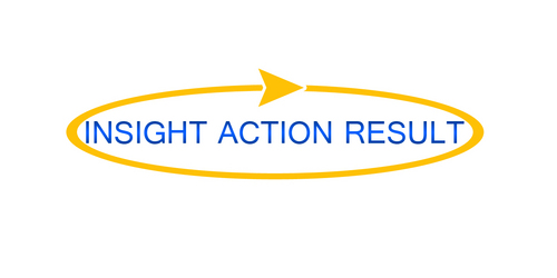 insight action results graphic By SRCLLC
